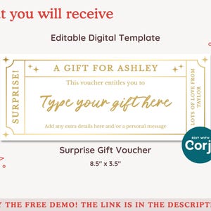 Editable Surprise Gift Voucher Template, Printable Gift Voucher, Custom ...