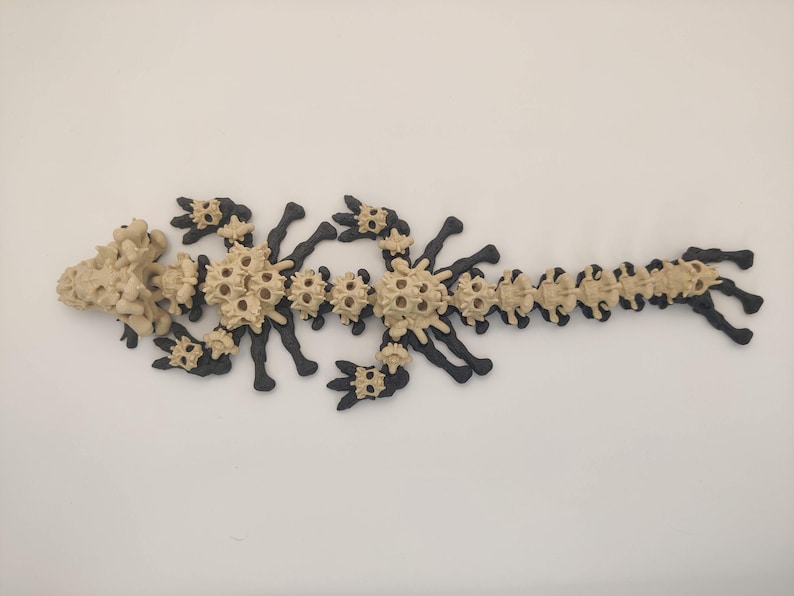 Baby Bone Dragon | 3D Printed Articulated Figurine - Etsy
