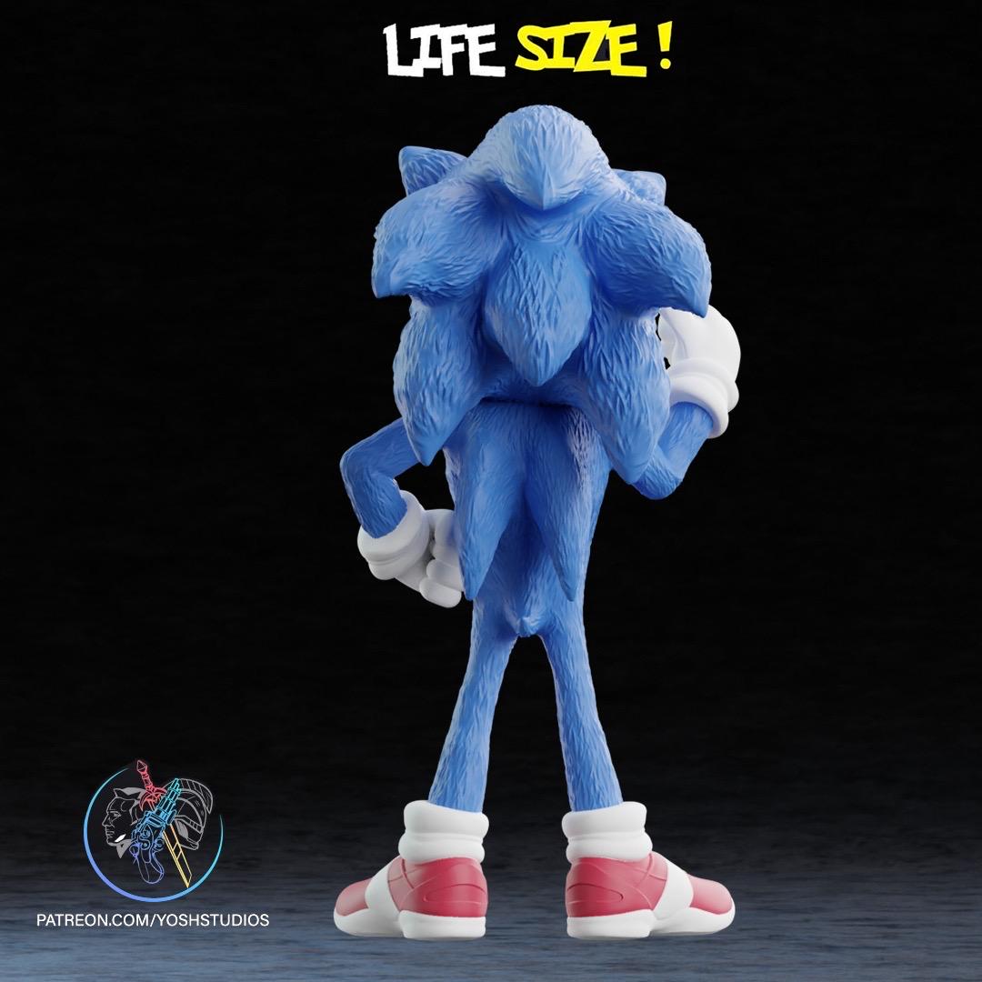 Life Size Sonic the Hedgehog Inspired (DIY Unpainted Kit) Cosplay Movie ...