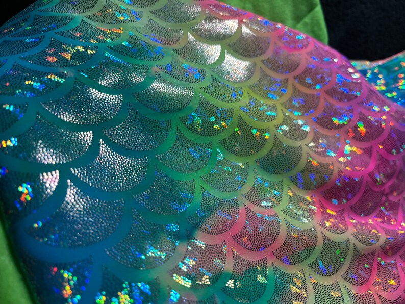 Large Scale Rainbow Fish Costume - Etsy