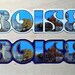 033, Boise Sticker, Boise Idaho Sticker, City of Boise Sticker, Idaho ...