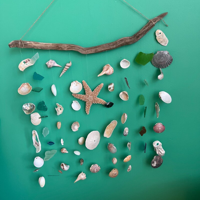 Seashell Hanging - Etsy