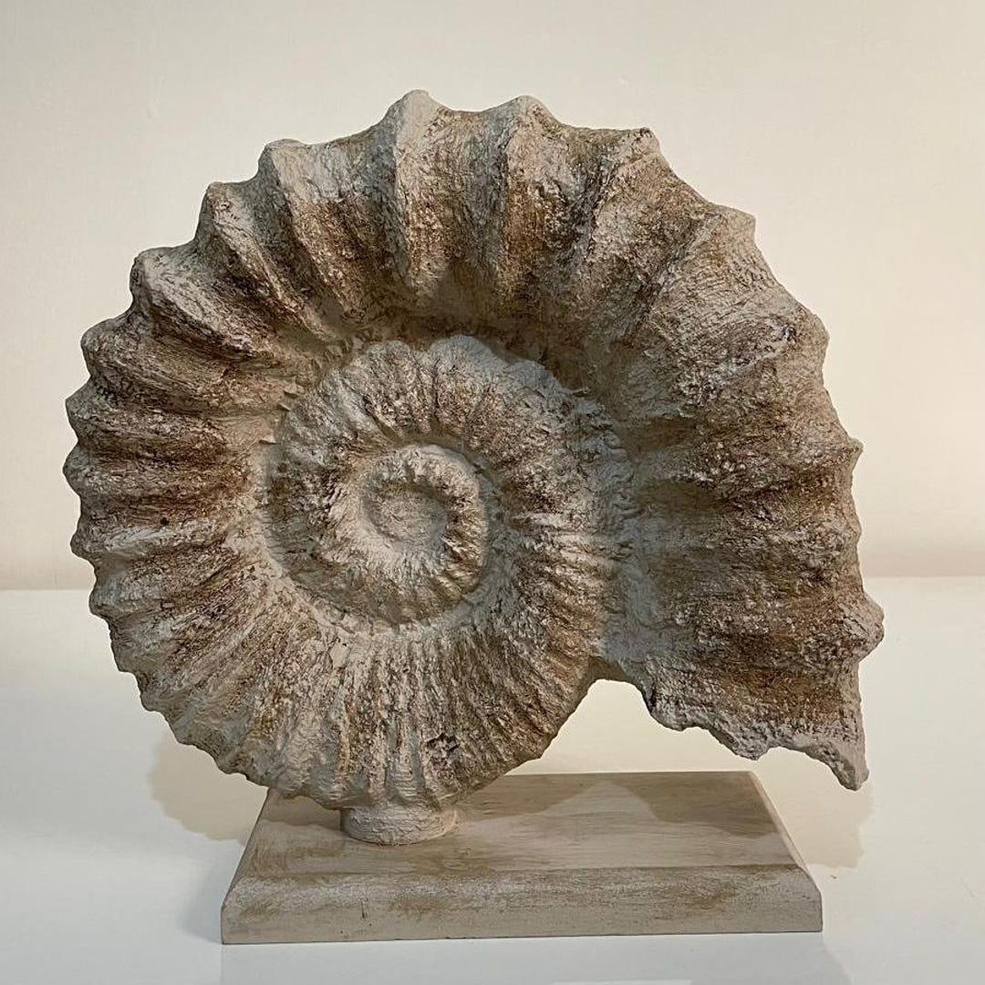 Seashell Sculpture, Fossil Shell Statue, Shell Art Decor, Oceanic Home ...