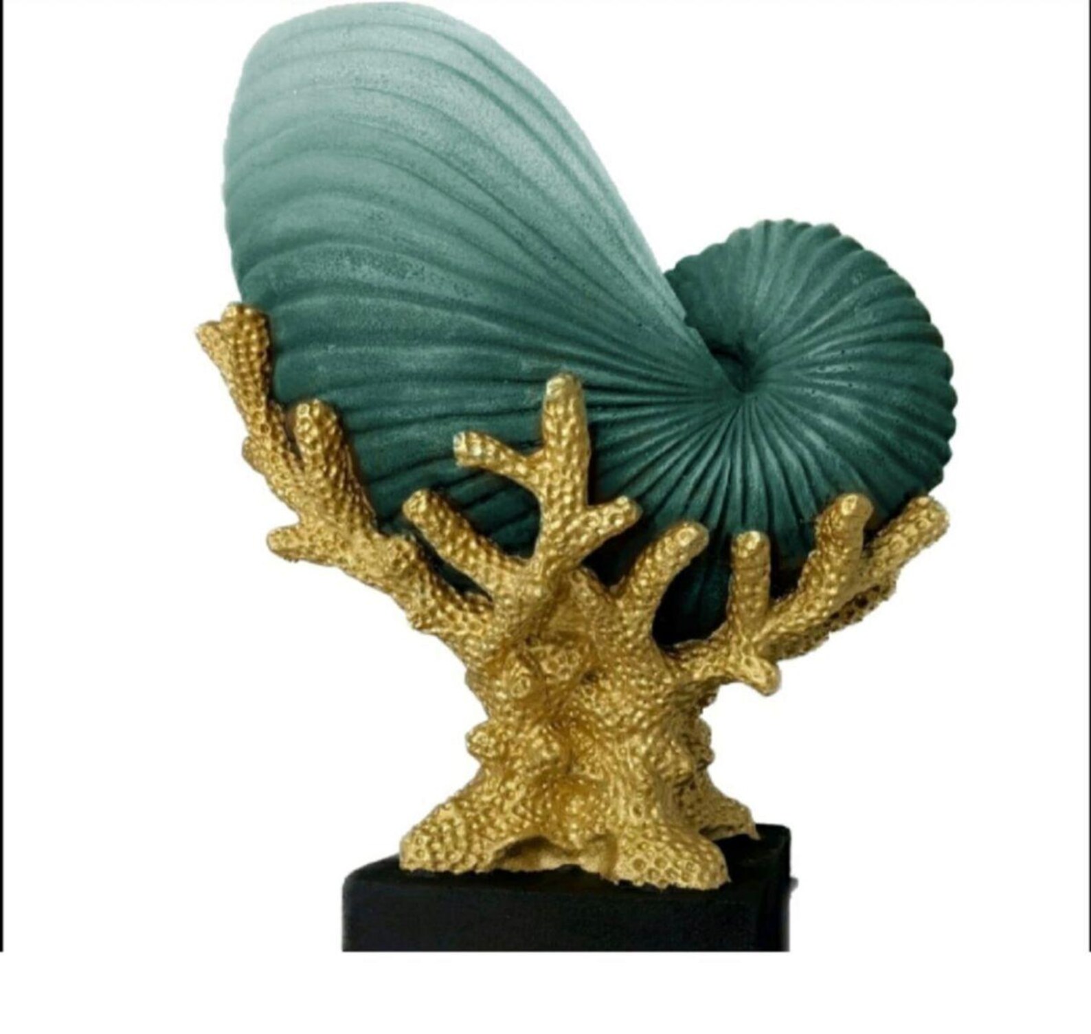 Seashell Vase, Coastal Decor, Ocean Theme Home Decor, Shell Decor ...