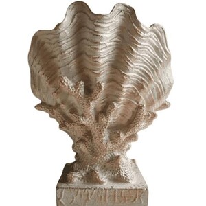 Elegant Clam Shell Vase With Coral Base, Coastal Decor Statue, Nautical ...