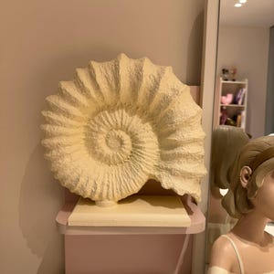 Seashell Sculpture, Fossil Shell Statue, Shell Art Decor, Oceanic Home ...