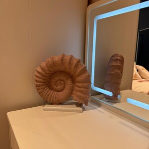 Seashell Sculpture, Fossil Shell Statue, Shell Art Decor, Oceanic Home ...