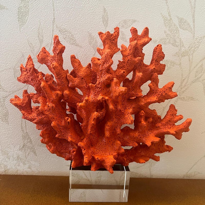 Coral Sculpture Tabletop - Etsy