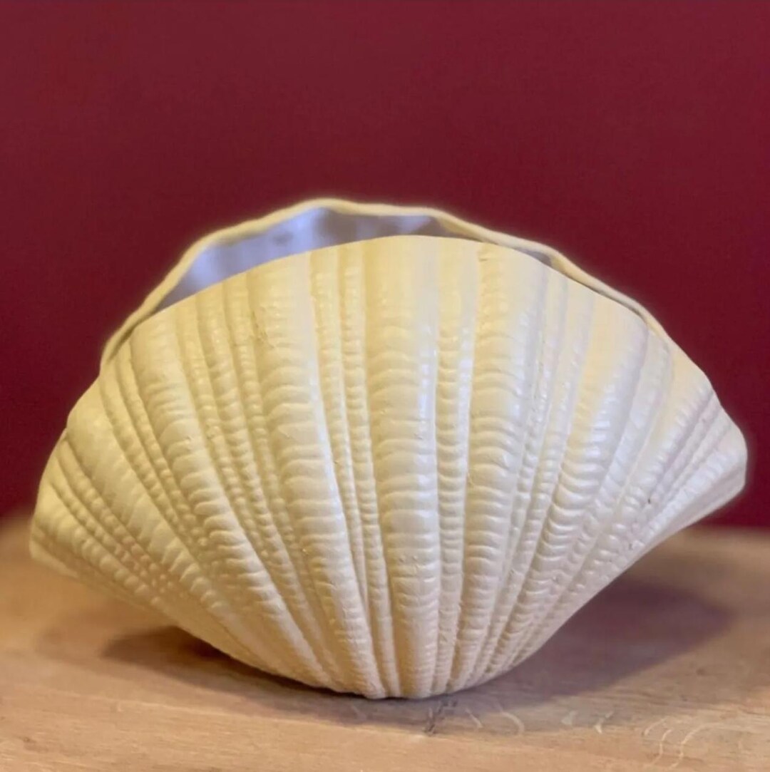 Ceramic Seashell Decorative Bowl, Coastal Shell Accent Piece, Modern ...