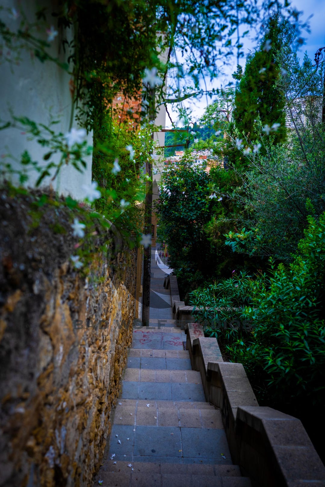 Hidden Steps of Gràcia - Etsy
