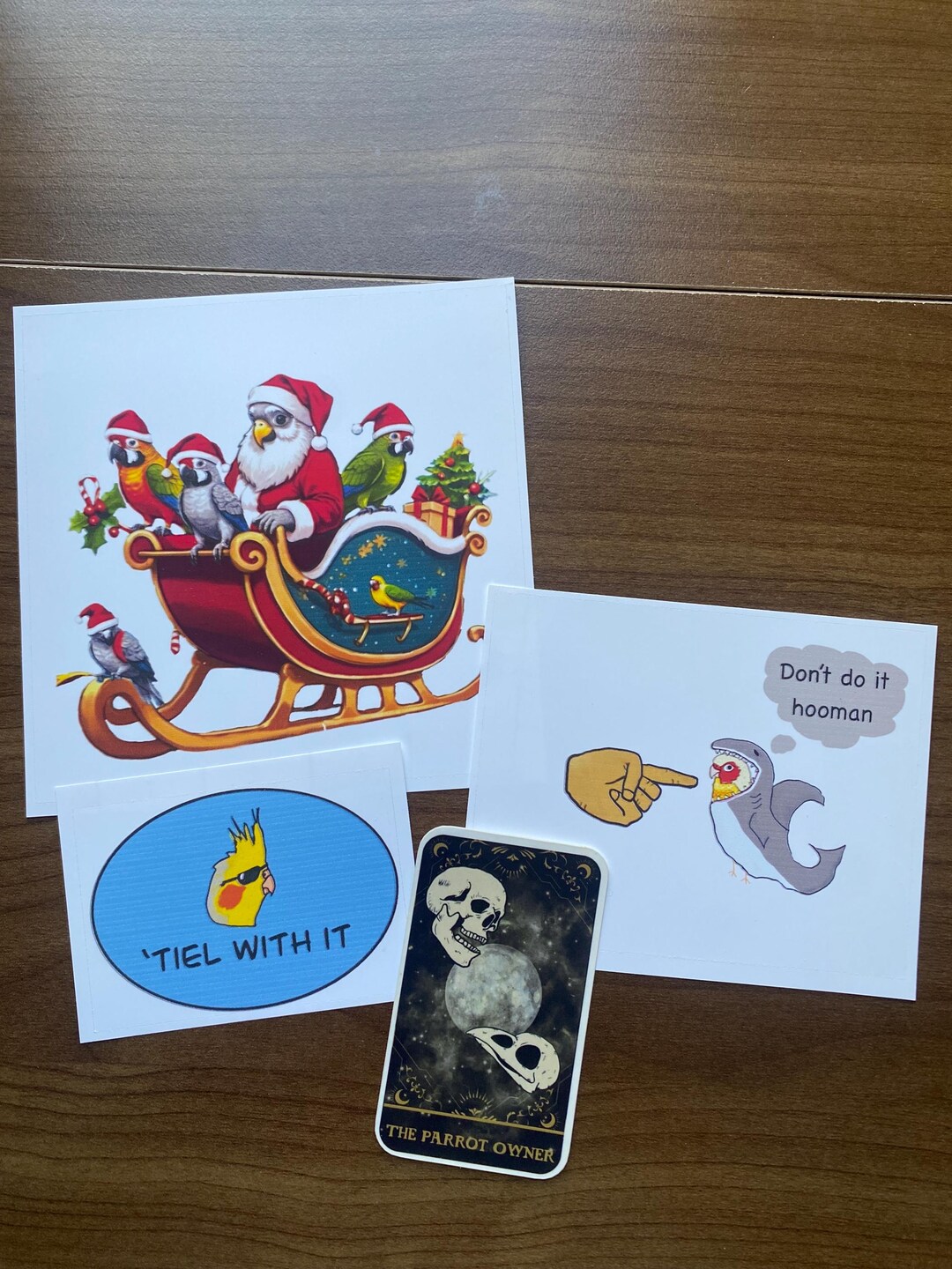 Birb Sticker Pack - Etsy