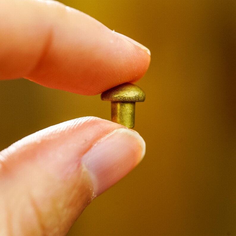 Medieval Brass Rivets Pack of 25 - Etsy