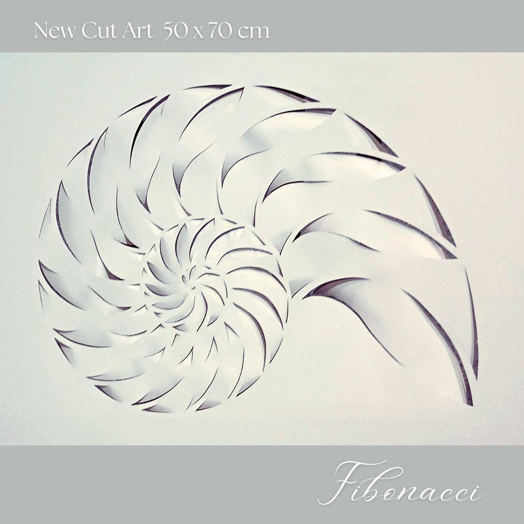White Shell, Relief 50 X 70 Cm Fibonacci - Etsy