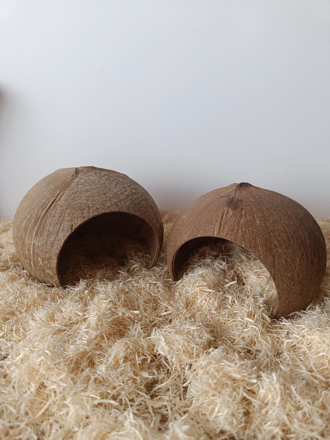 Half Coconut Shell Hide for Dwarf or Robo Hamsters - Etsy