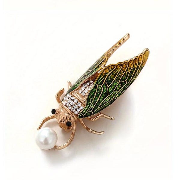 Cicada Brooch - Etsy