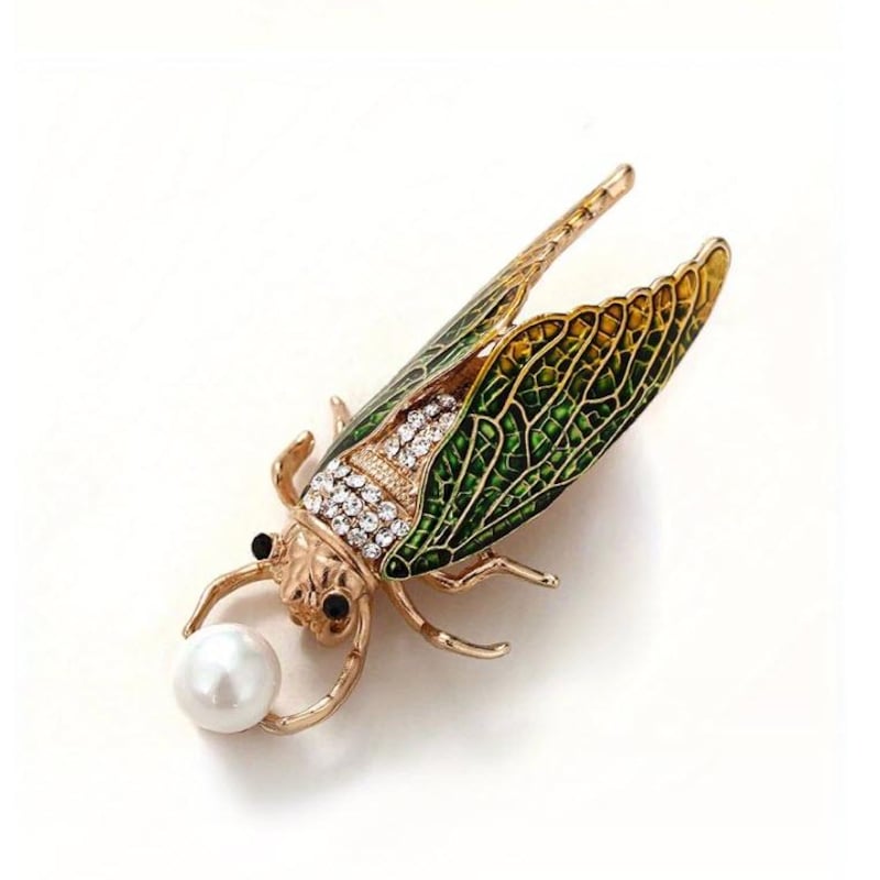 Cicada Brooch - Etsy