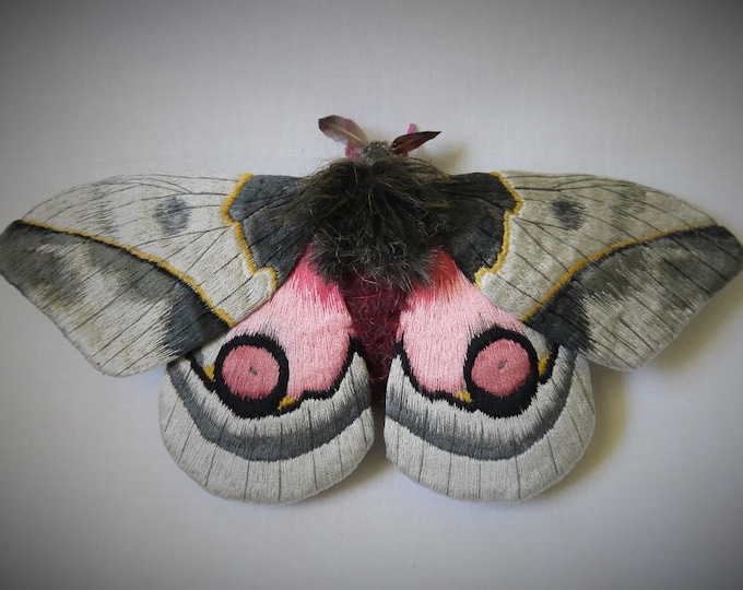 Fabric Sculpture - Automeris Frankae Moth Fiber Art - Etsy
