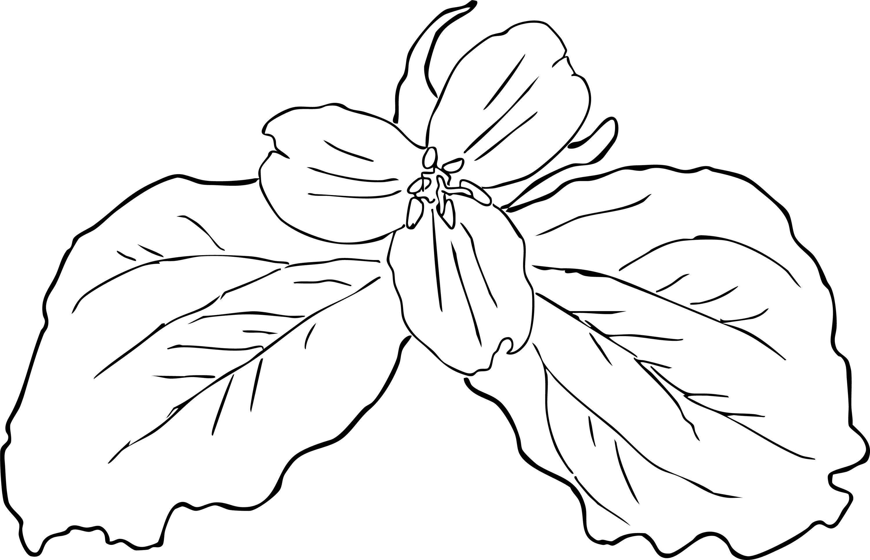 Wildflower SVG | Minimal Botanical Line Art | Multiple Formats Included ...