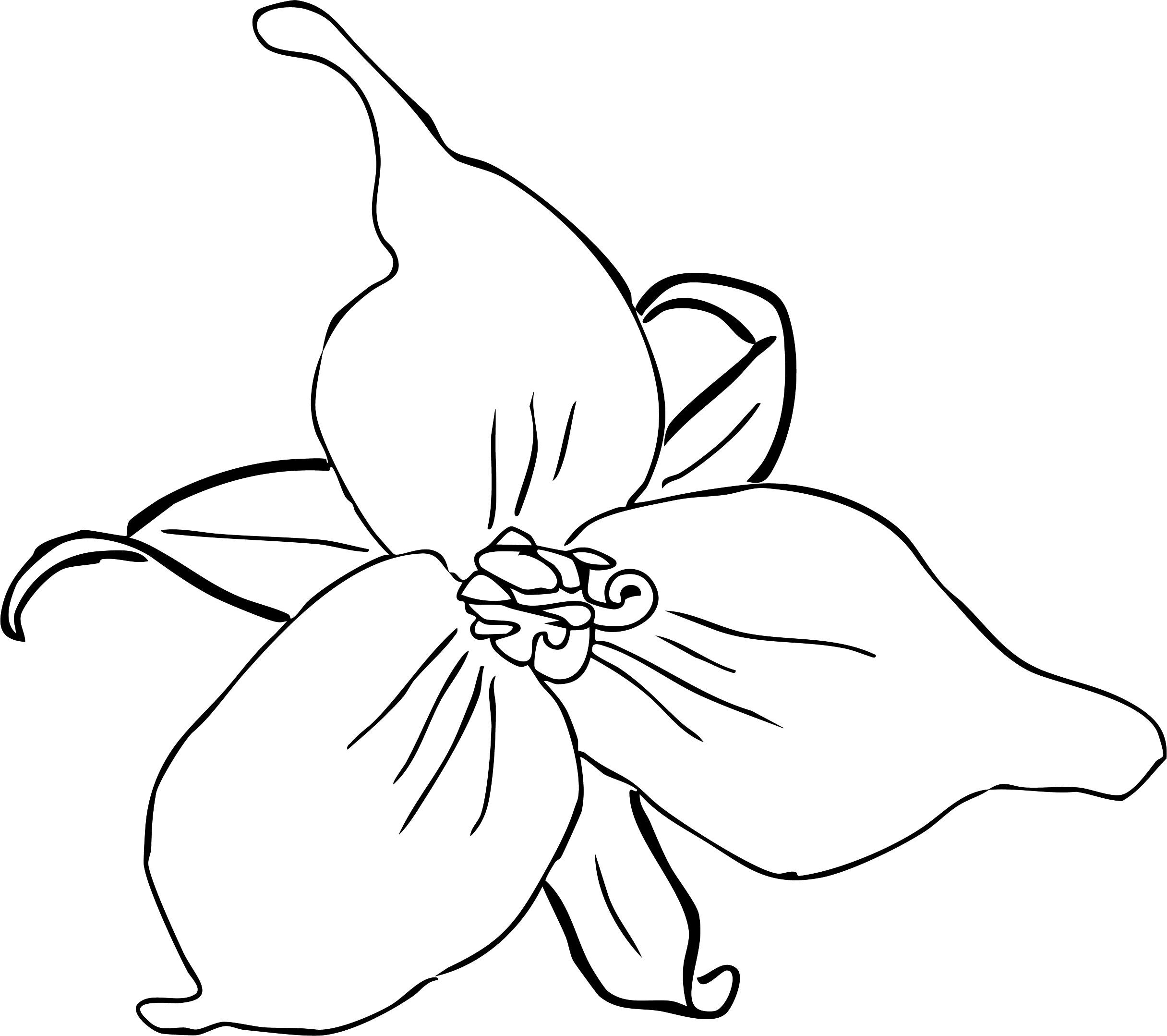 Wildflower SVG | Minimal Botanical Line Art | Multiple Formats Included ...