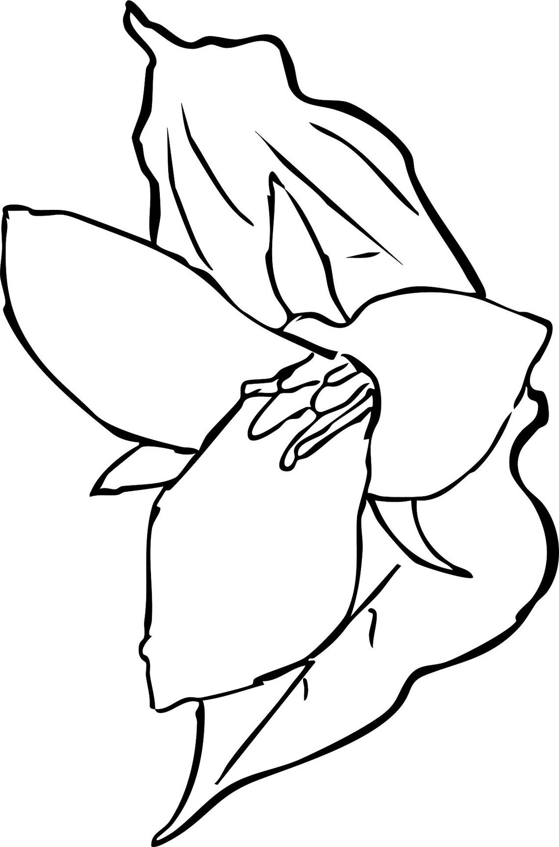 Wildflower SVG | Minimal Botanical Line Art | Multiple Formats Included ...