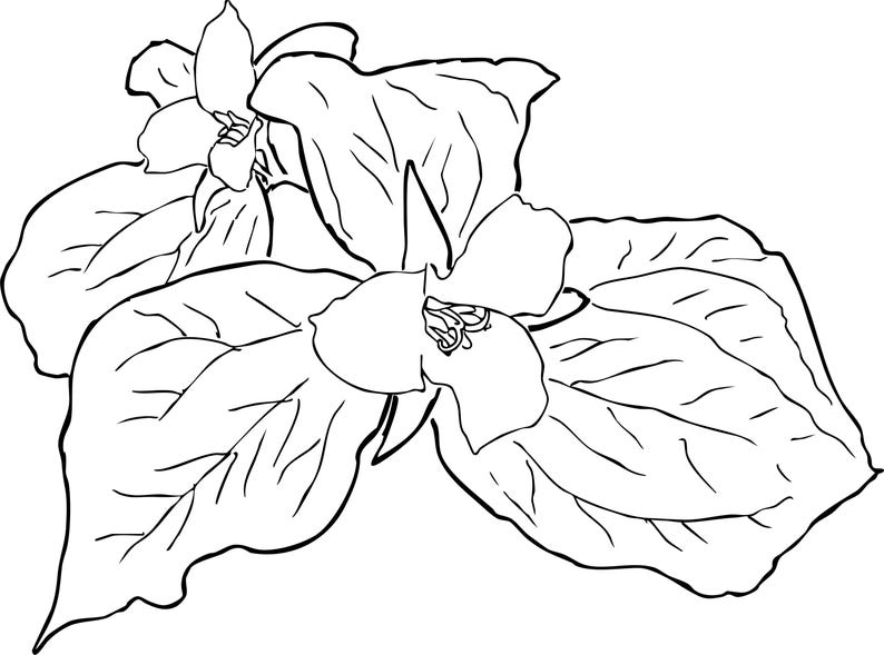 Wildflower SVG | Minimal Botanical Line Art | Multiple Formats Included ...