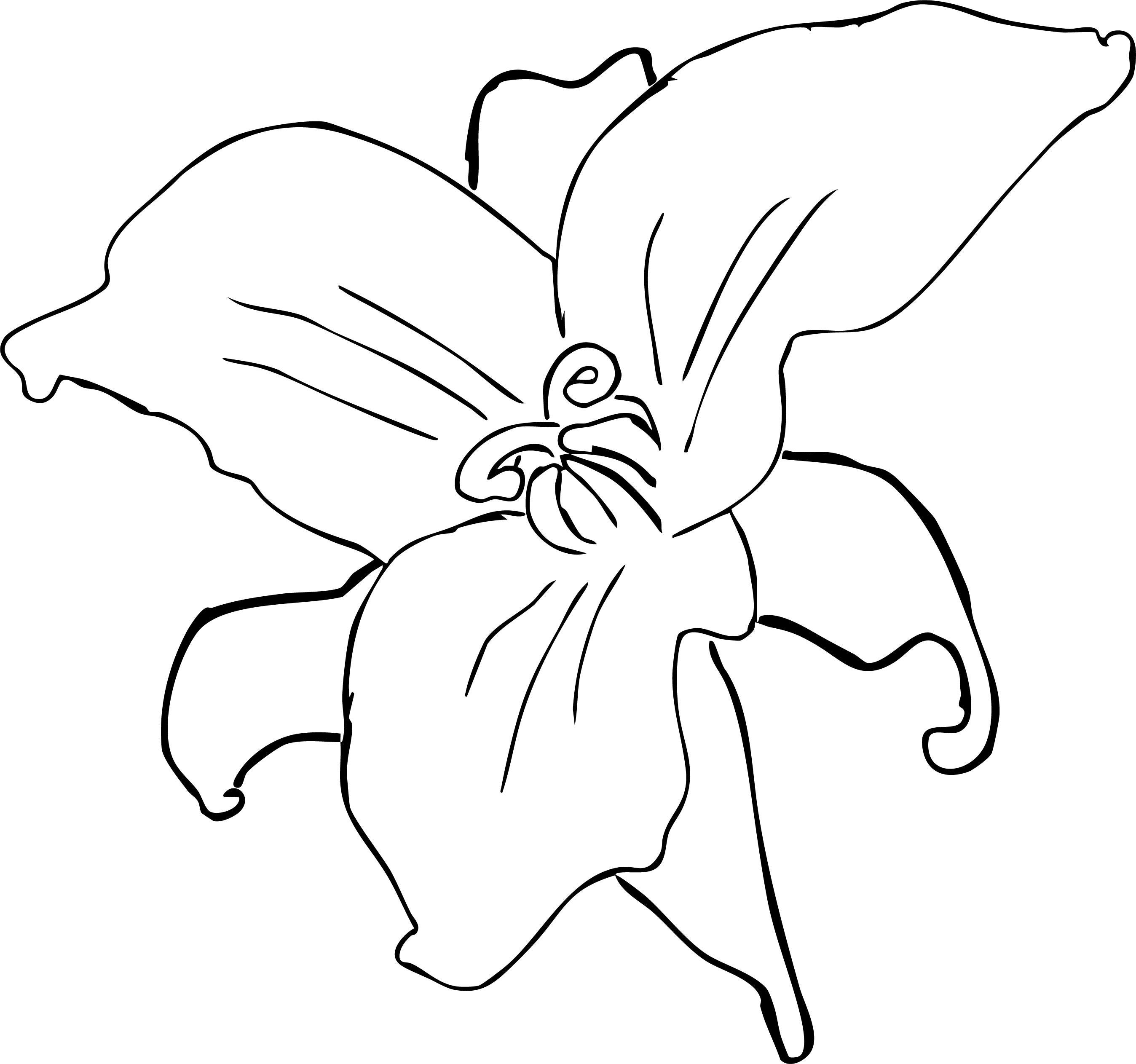 Wildflower SVG | Minimal Botanical Line Art | Multiple Formats Included ...