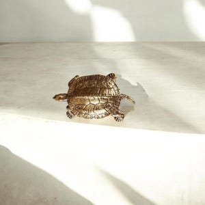 Solid Brass Turtle Sculpture | Unique Home Decor | Turtle Carving ...