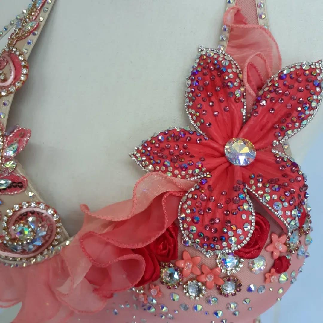 Made to Order Baladi Belly Dance Coral Dress,crystals Sparkling Dance ...