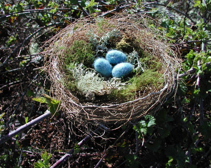 Handmade Birds Nest With Felted Wool Eggs - Etsy