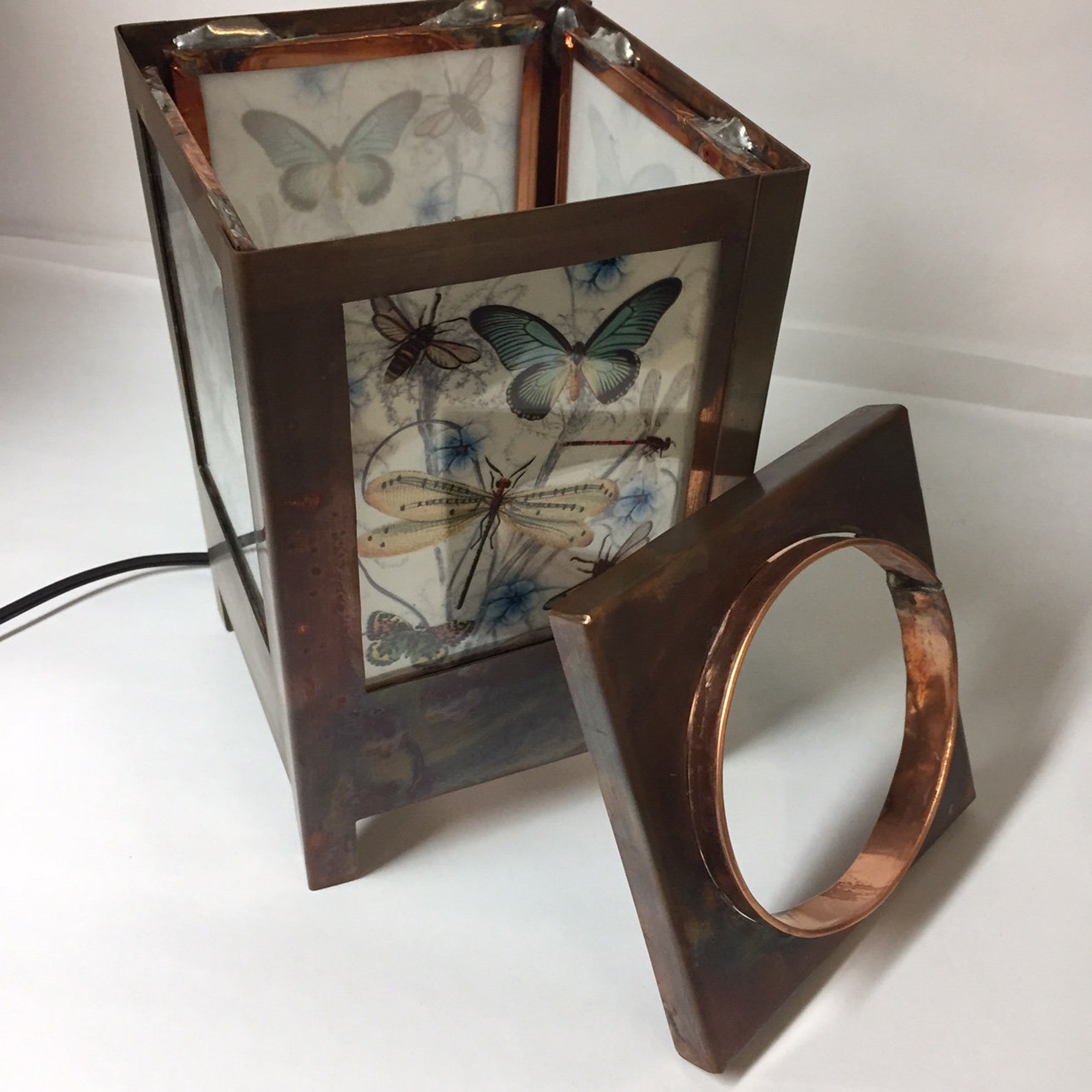 Good Night Bug Lamp - Bees, Butterflies and Dragonfly Night Light - Low ...