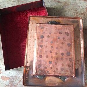 The Natural World Reliquary Box - Snake, Dragonfly, Grasshopper Copper ...
