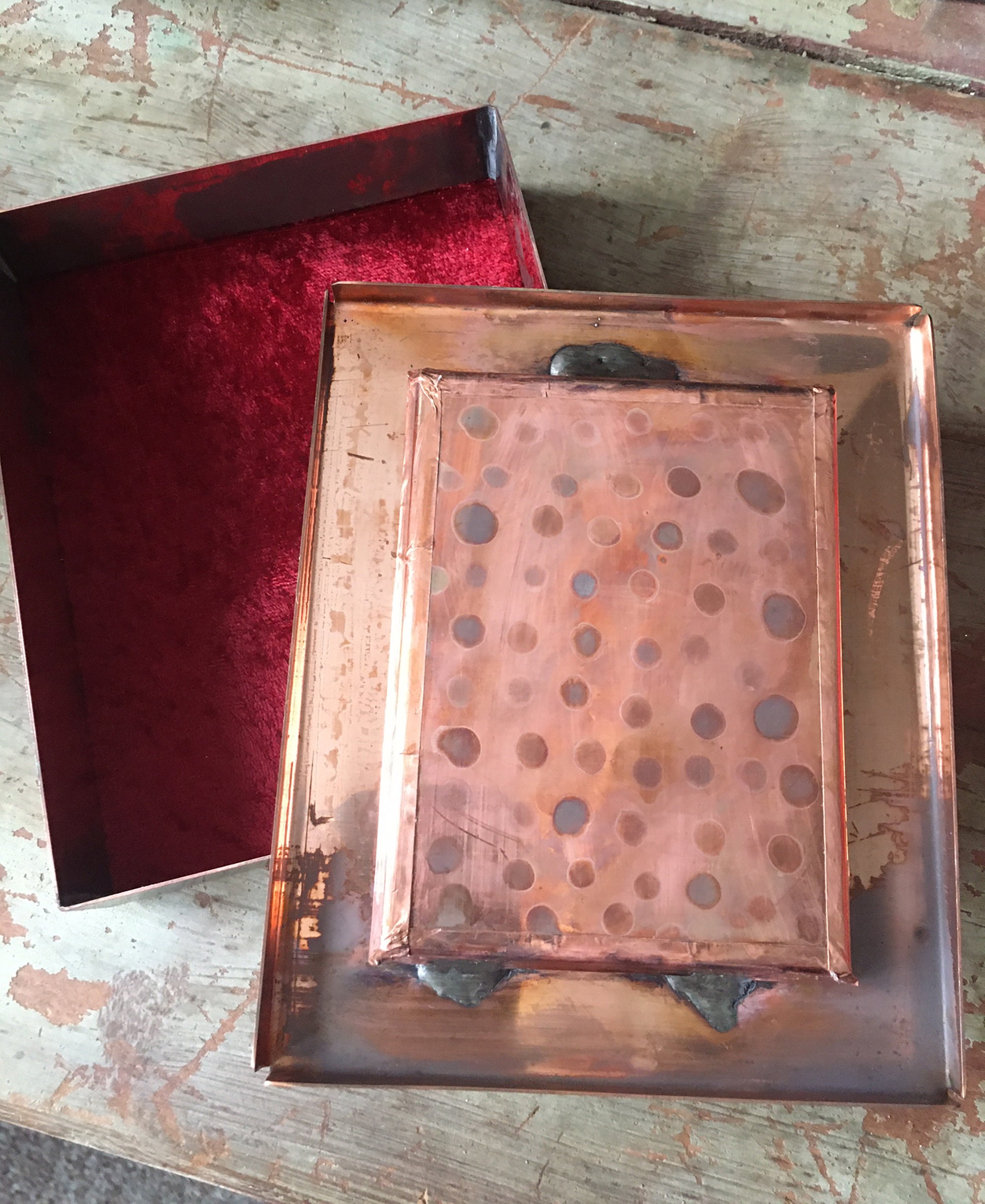 The Natural World Reliquary Box Snake Dragonfly - Etsy