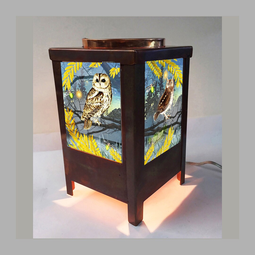 Owls in the Night Picture Lamp - Night Light of Night Time - Owls and ...