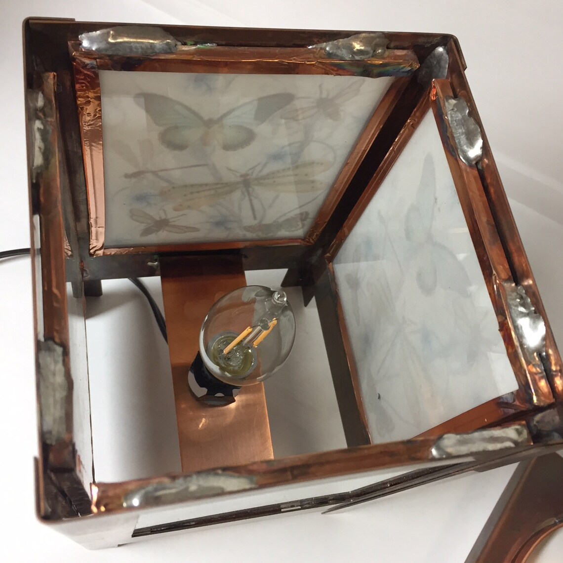 Good Night Bug Lamp - Bees, Butterflies and Dragonfly Night Light - Low ...