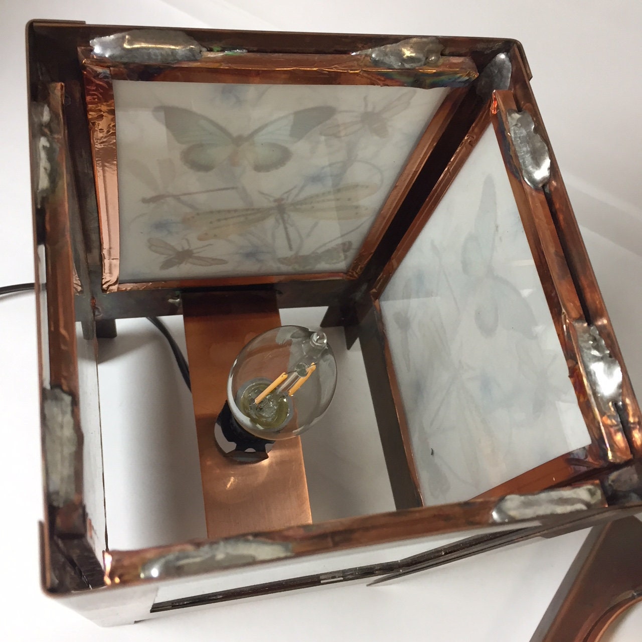 Good Night Bug Lamp - Bees, Butterflies and Dragonfly Night Light - Low ...