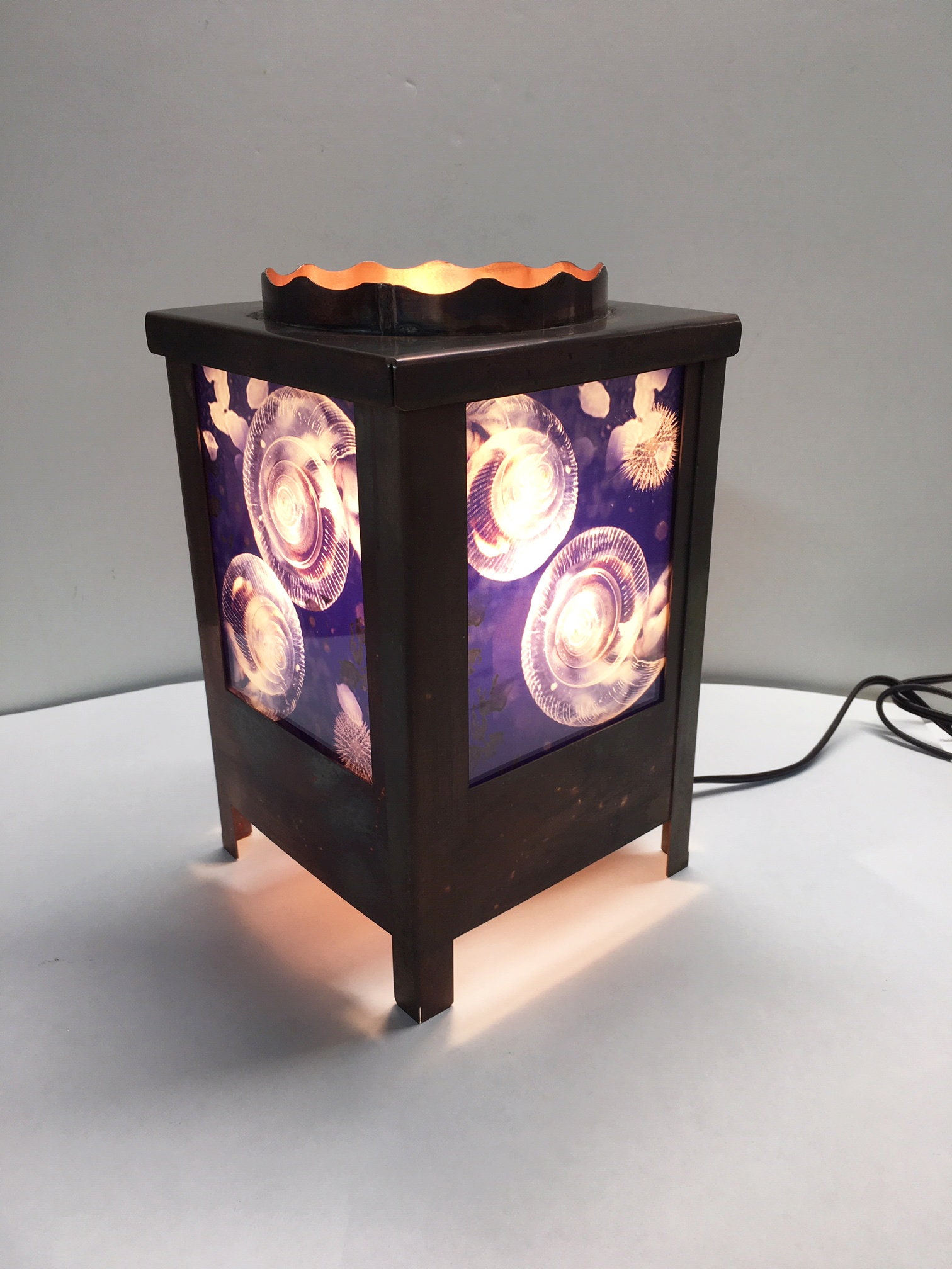 Micro Sea Life Picture Lamp - Underwater Night Light - Sea Shell Light ...