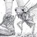 Creepy Crawling Critters Coloring Book - Etsy