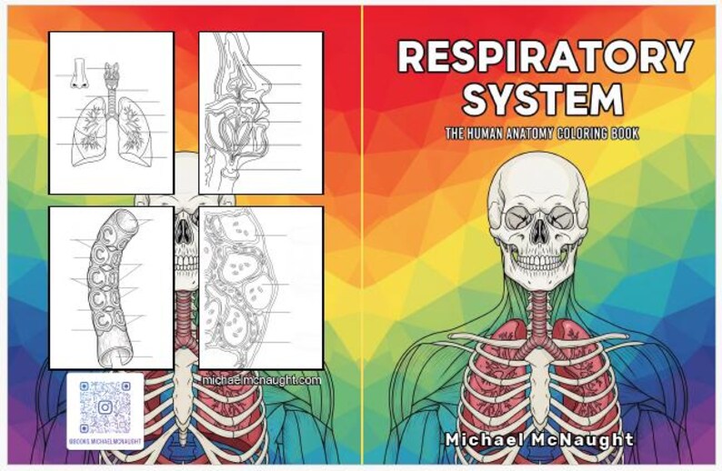 Respiratory System: the Human Anatomy Coloring Book - Etsy