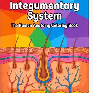 Integumentary System: the Human Anatomy Coloring Book - Etsy