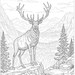 The Cabin in the Woodland: A Mental Retreat Coloring Book for Adults - Etsy
