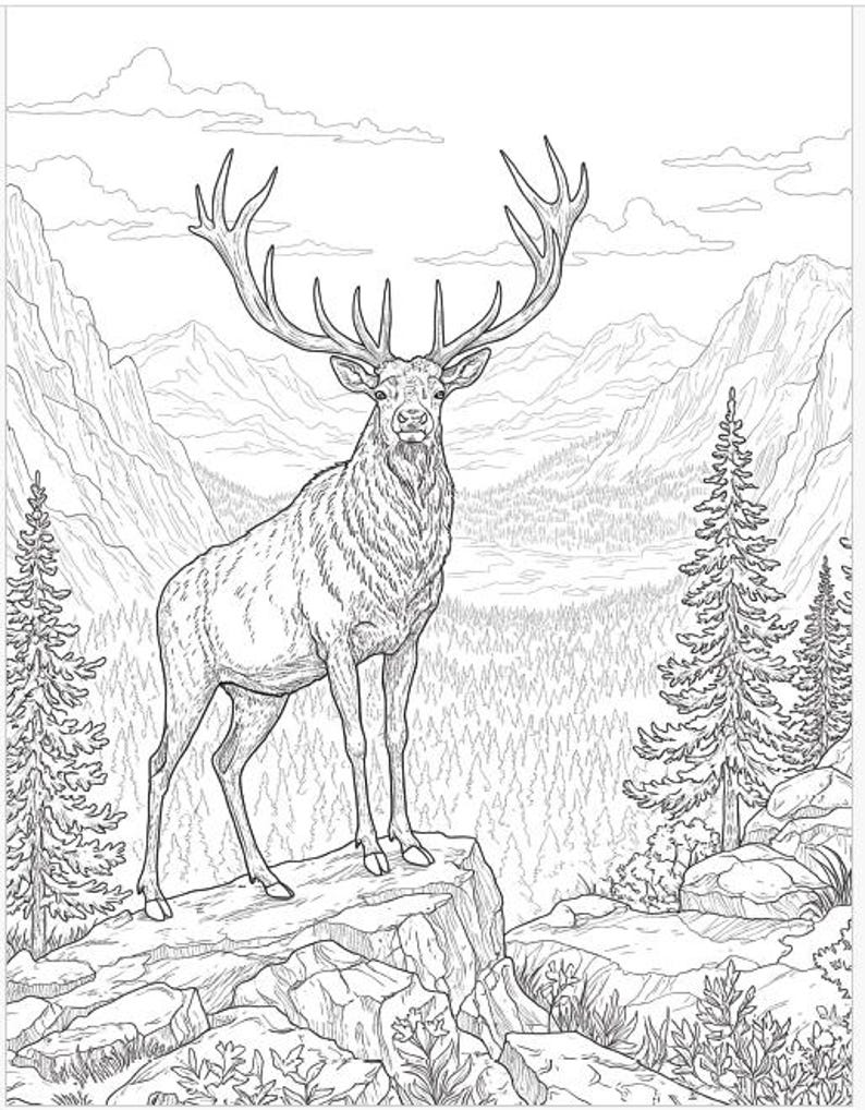 The Cabin in the Woodland: A Mental Retreat Coloring Book for Adults - Etsy