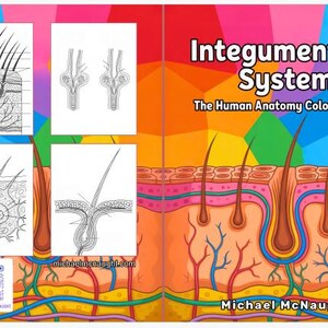 Integumentary System: the Human Anatomy Coloring Book - Etsy