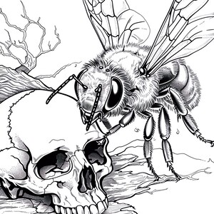 Creepy Crawling Critters Coloring Book - Etsy