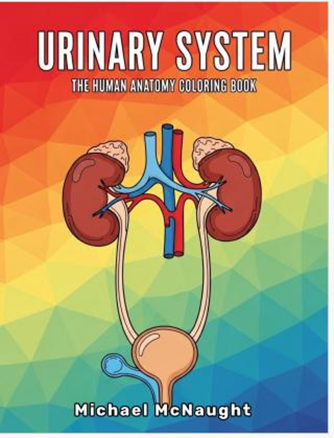 Urinary System: the Human Anatomy Coloring Book - Etsy