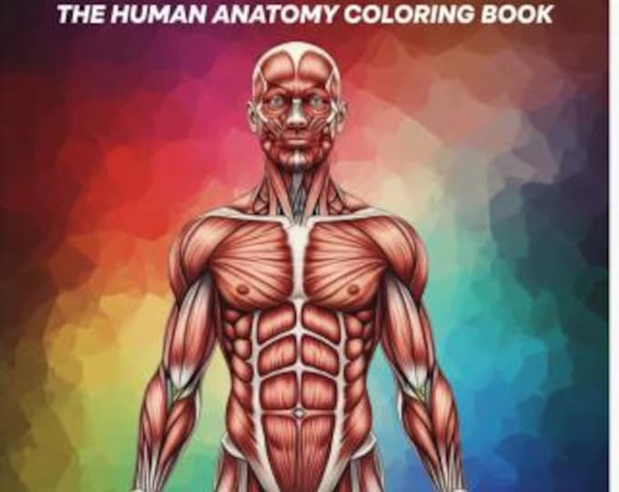 Anatomy of the Arm Coloring Page | Digital Download | Human Muscles ...