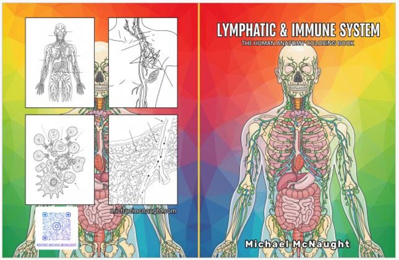 Lymphatic & Immune System: the Human Anatomy Coloring Book - Etsy