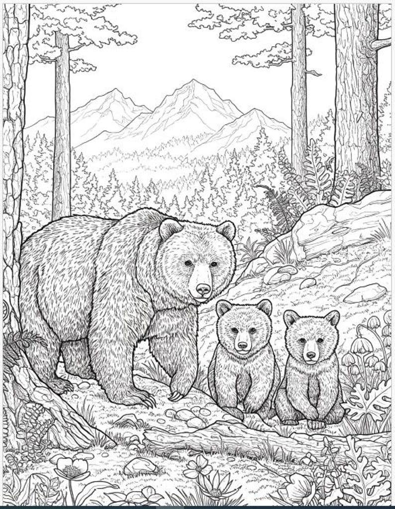 The Cabin in the Woodland: A Mental Retreat Coloring Book for Adults - Etsy