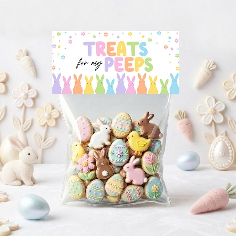 Easter Goodie Bags - Etsy