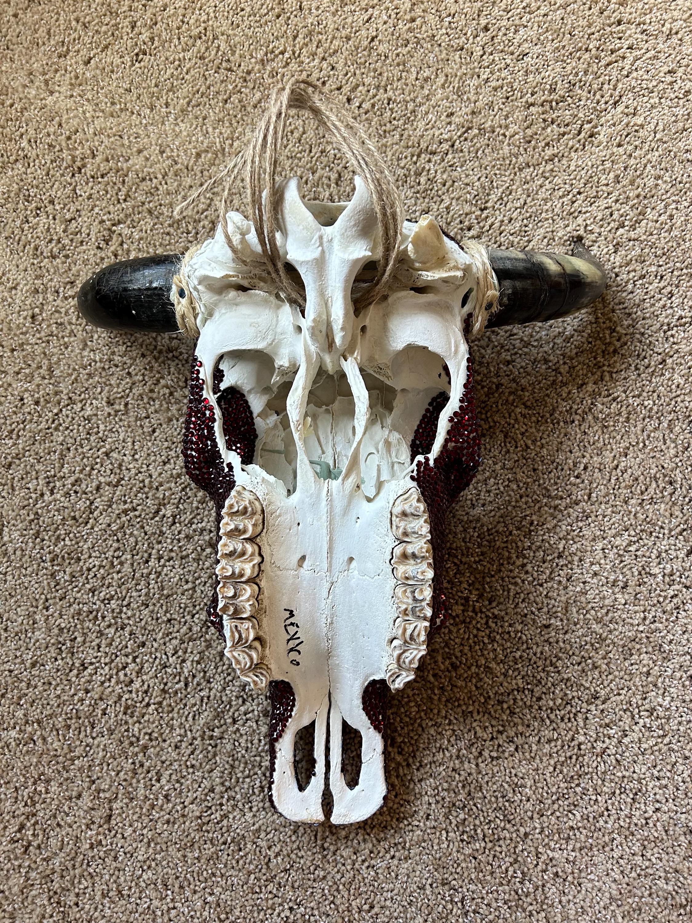 Bedazzled Crystal Cow Skull - Etsy
