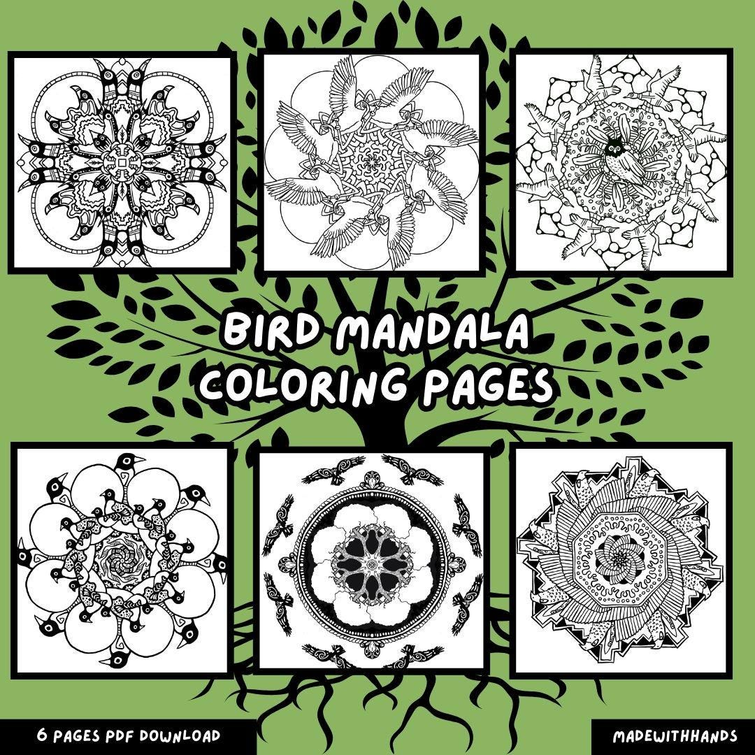 Hand Drawn Bird Mandala Coloring Pages - Etsy